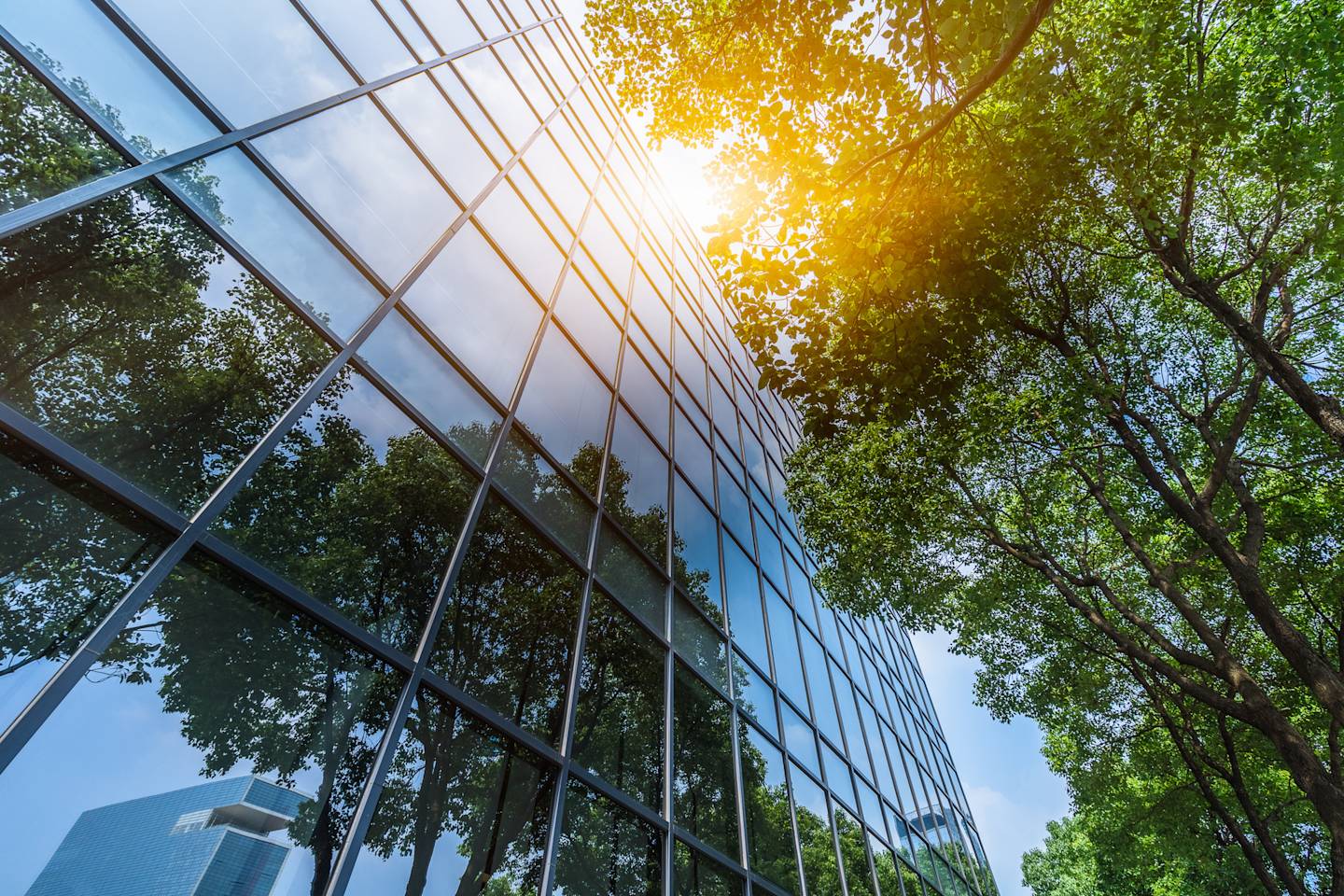 Energy solutions for business | Drax