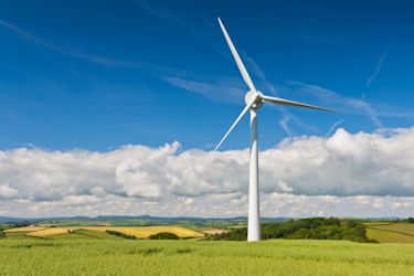 Understanding REGOs | Drax