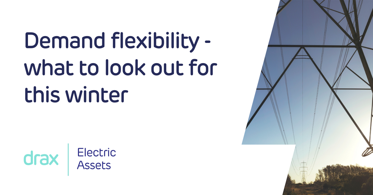 Demand flexibility – what to look out for this winter | Drax