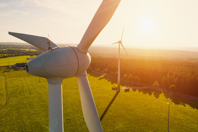 Electric Insights Report Q4 2024 | Drax