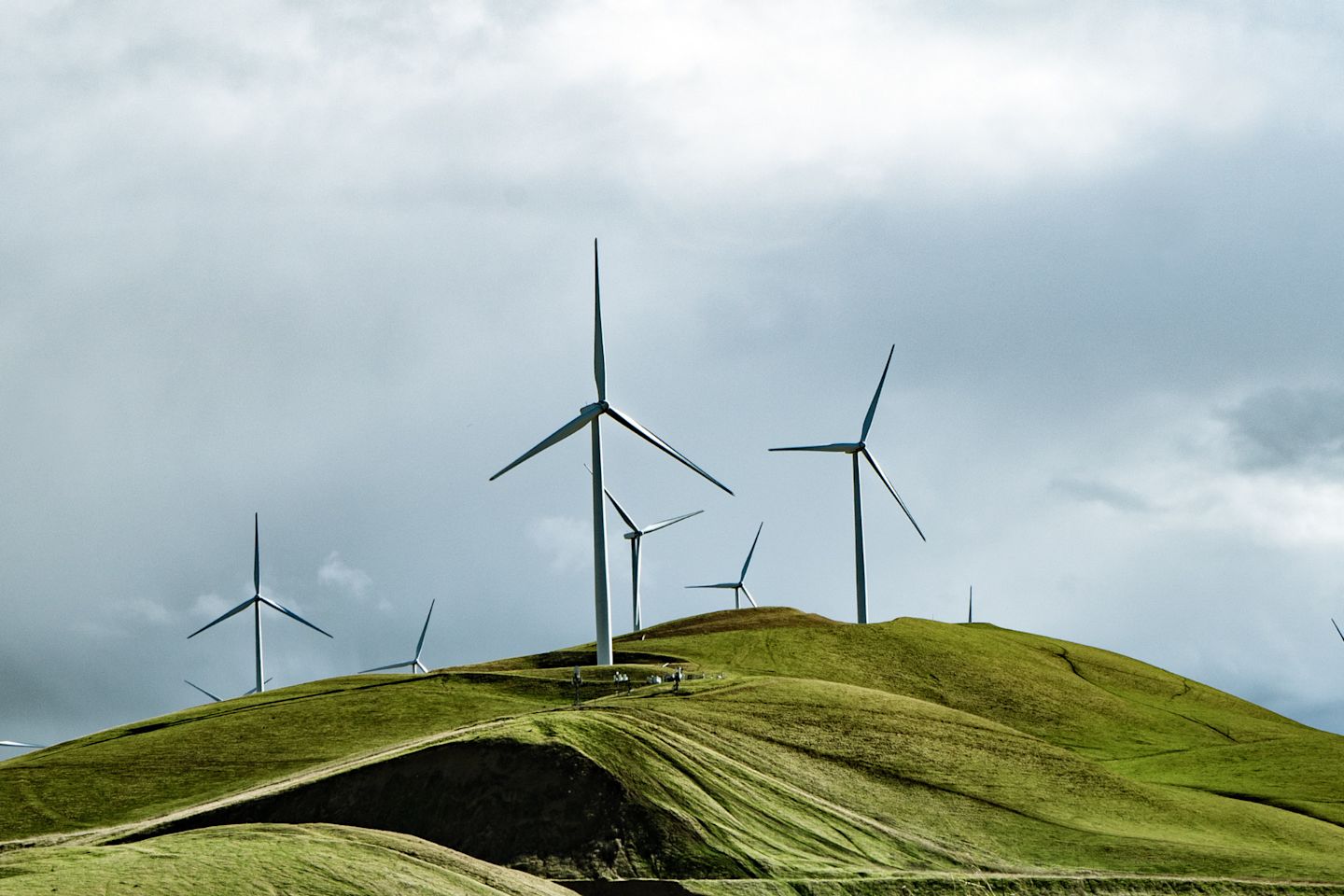 Guide to Corporate Power Purchase Agreements | Drax