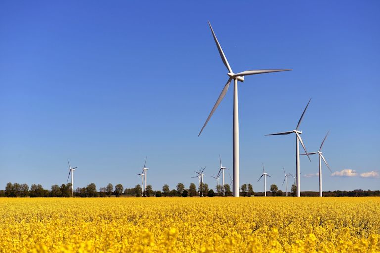 CPPA structures explained | Drax