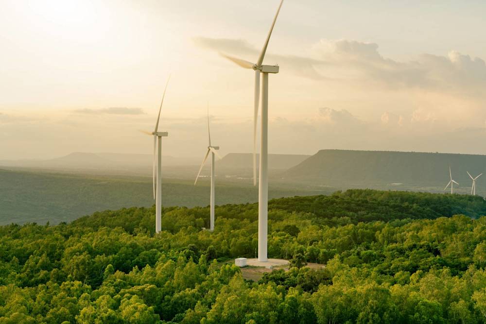 Understanding REGOs | Drax