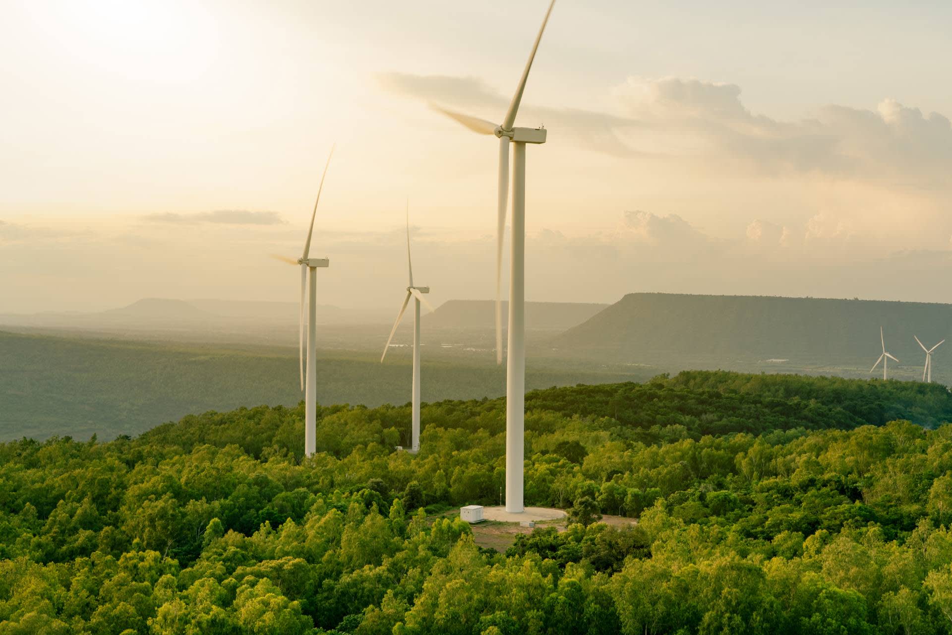 What’s happening in the REGO market? | Drax