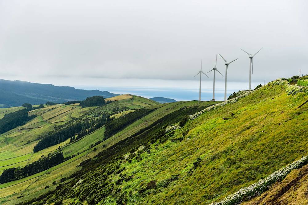 What’s happening in the REGO market? | Drax