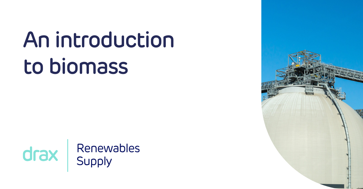 An introduction to biomass | Drax