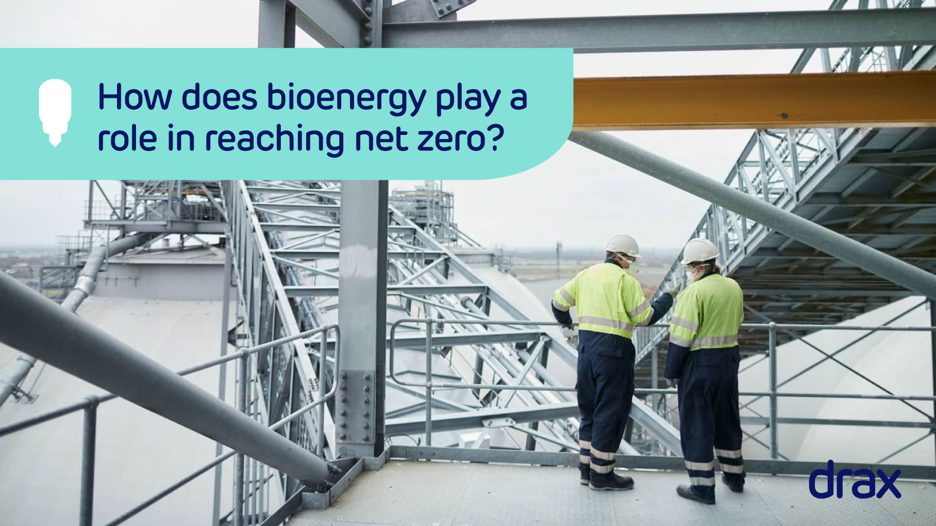 How does bioenergy play a role in reaching net zero? | Drax