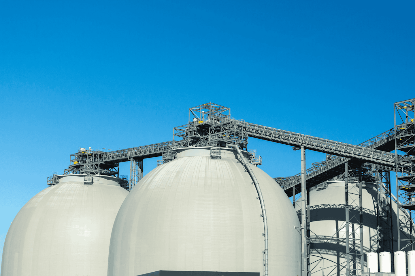 An introduction to biomass | Drax