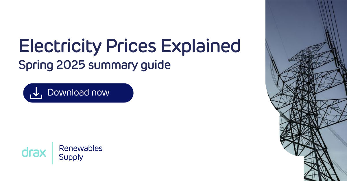 Electricity Prices Explained Guide – Spring 2025 | Drax