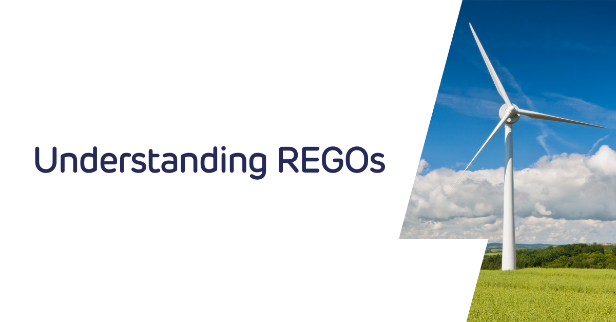 Understanding REGOs | Drax