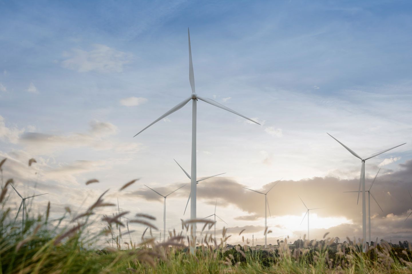 Q2 Electric Insights; the latest in the UK electricity generation | Drax