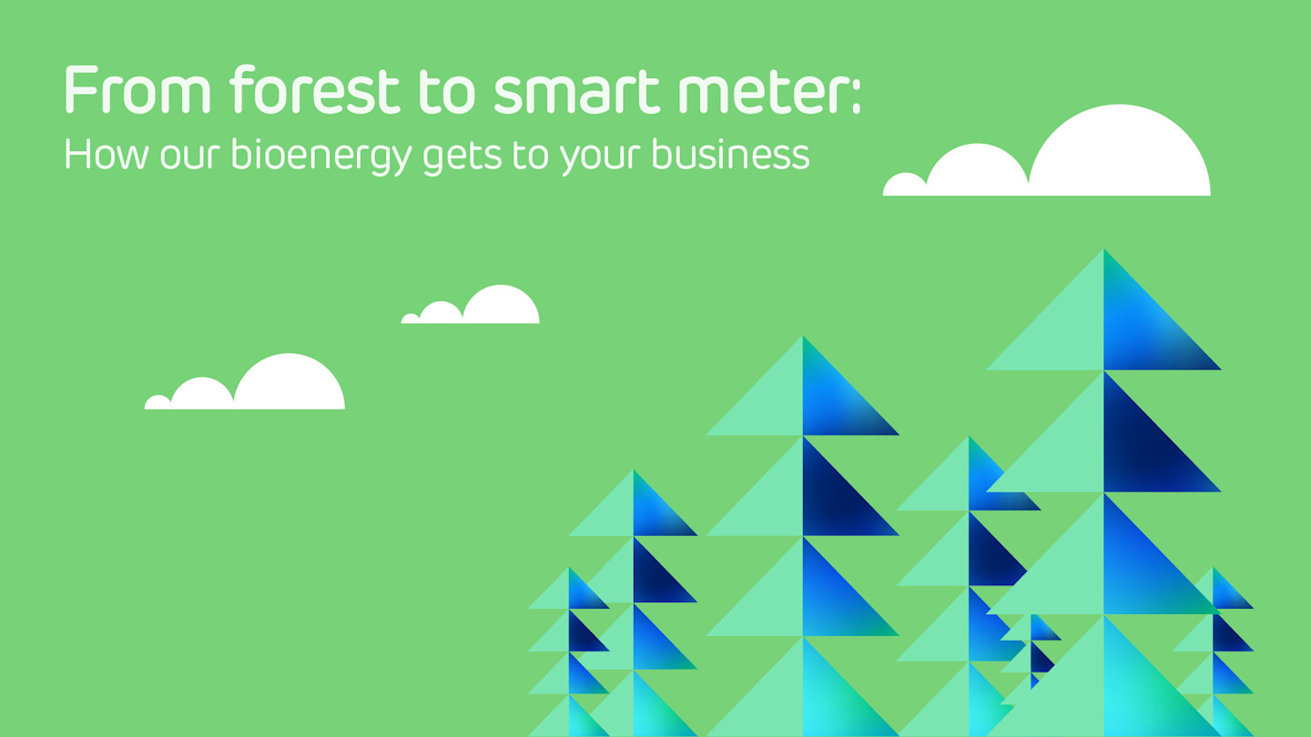 How does bioenergy play a role in reaching net zero? | Drax