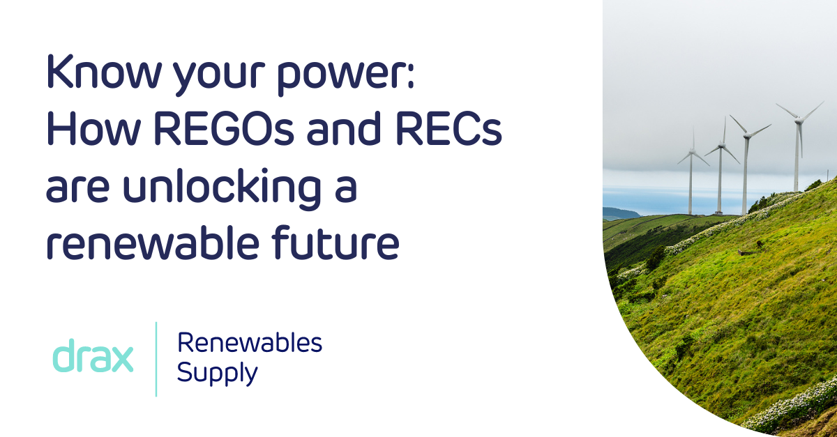 How REGOs and RECs are unlocking a renewable future | Drax