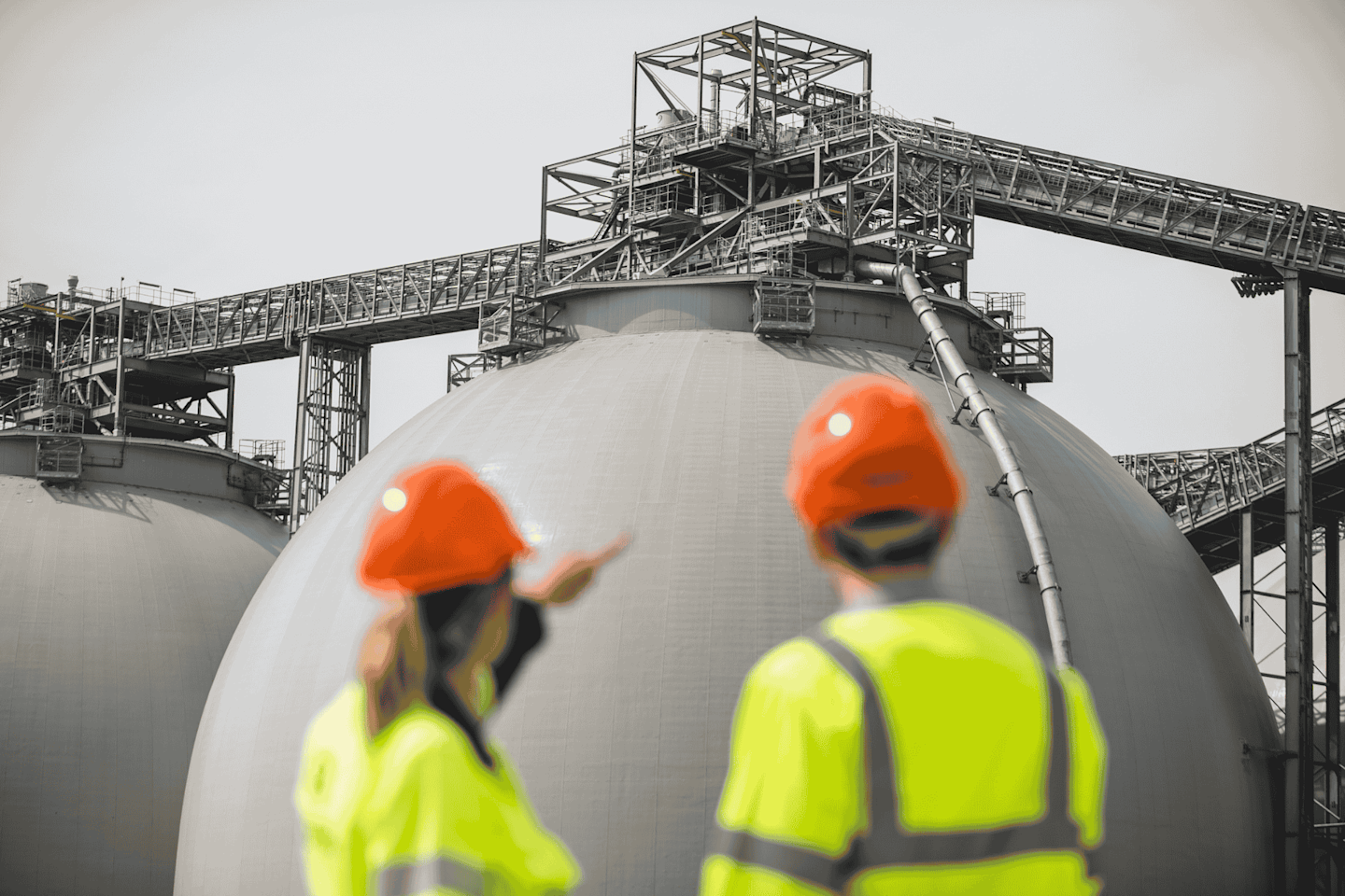 An introduction to biomass | Drax