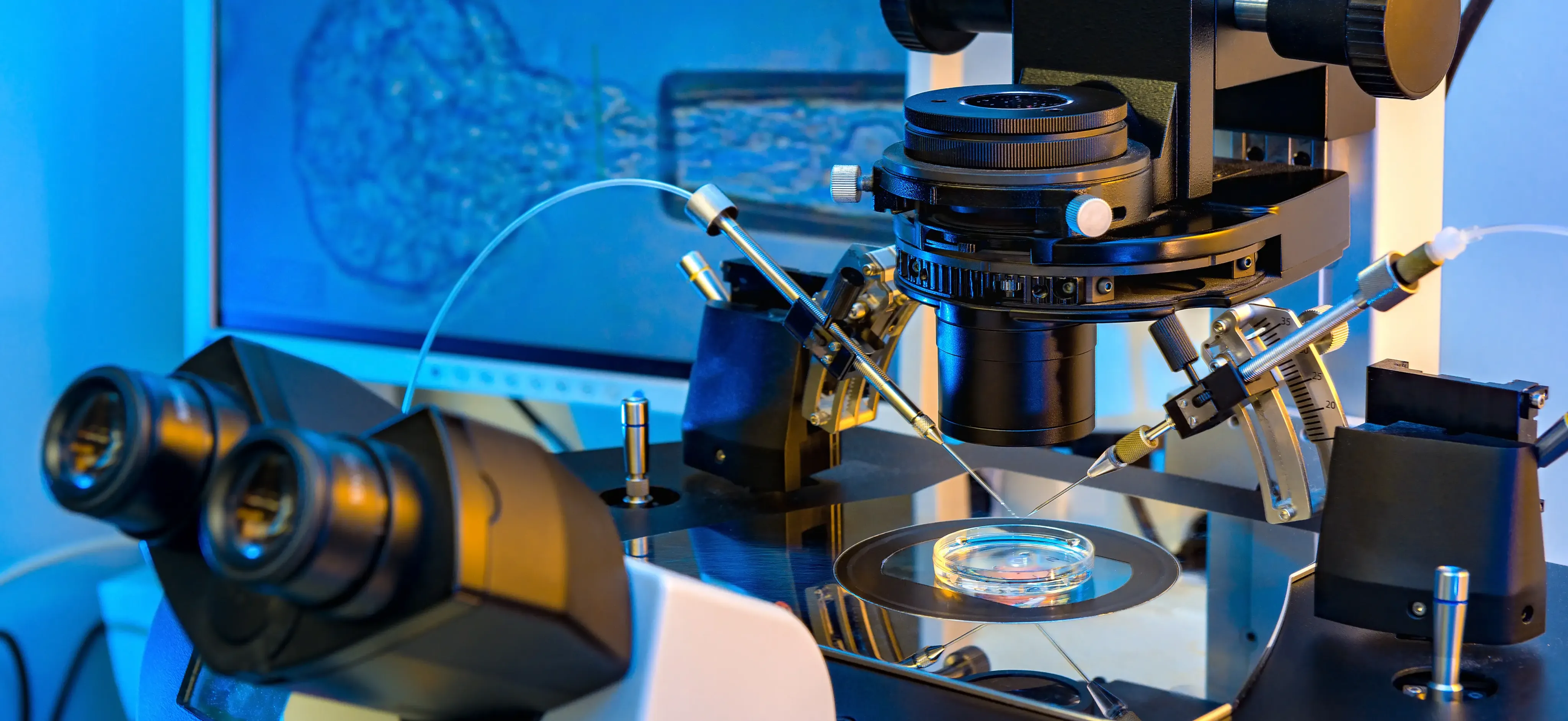 What is the ICSI full form or stands for