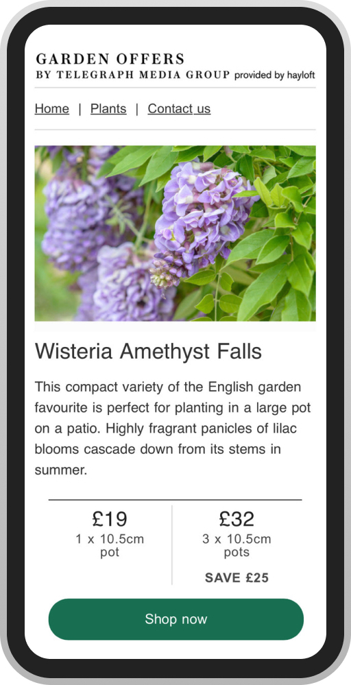 Telegraph Garden Offers Newsletter – top deals and discounts