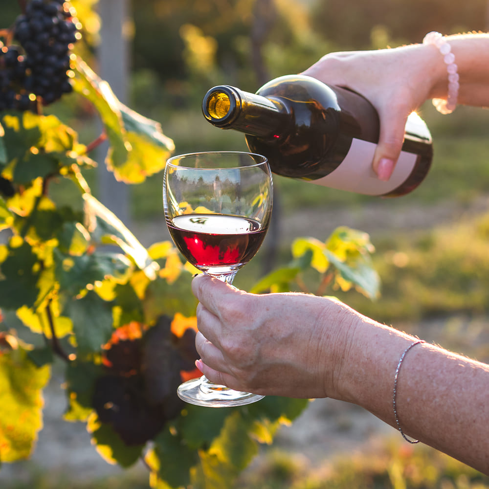 What is dry red wine?
