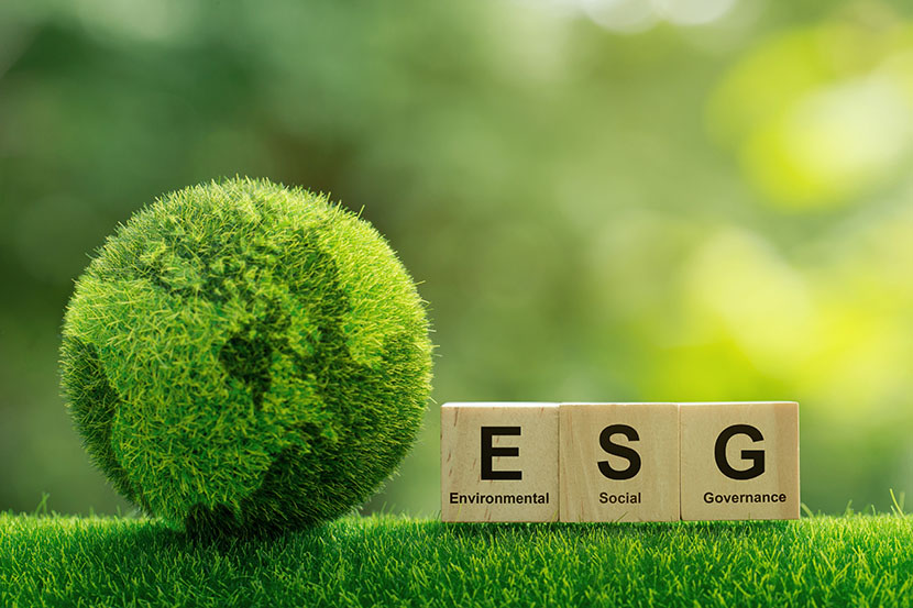 Criteri ESG: cosa sono e perché sono importanti | P&G