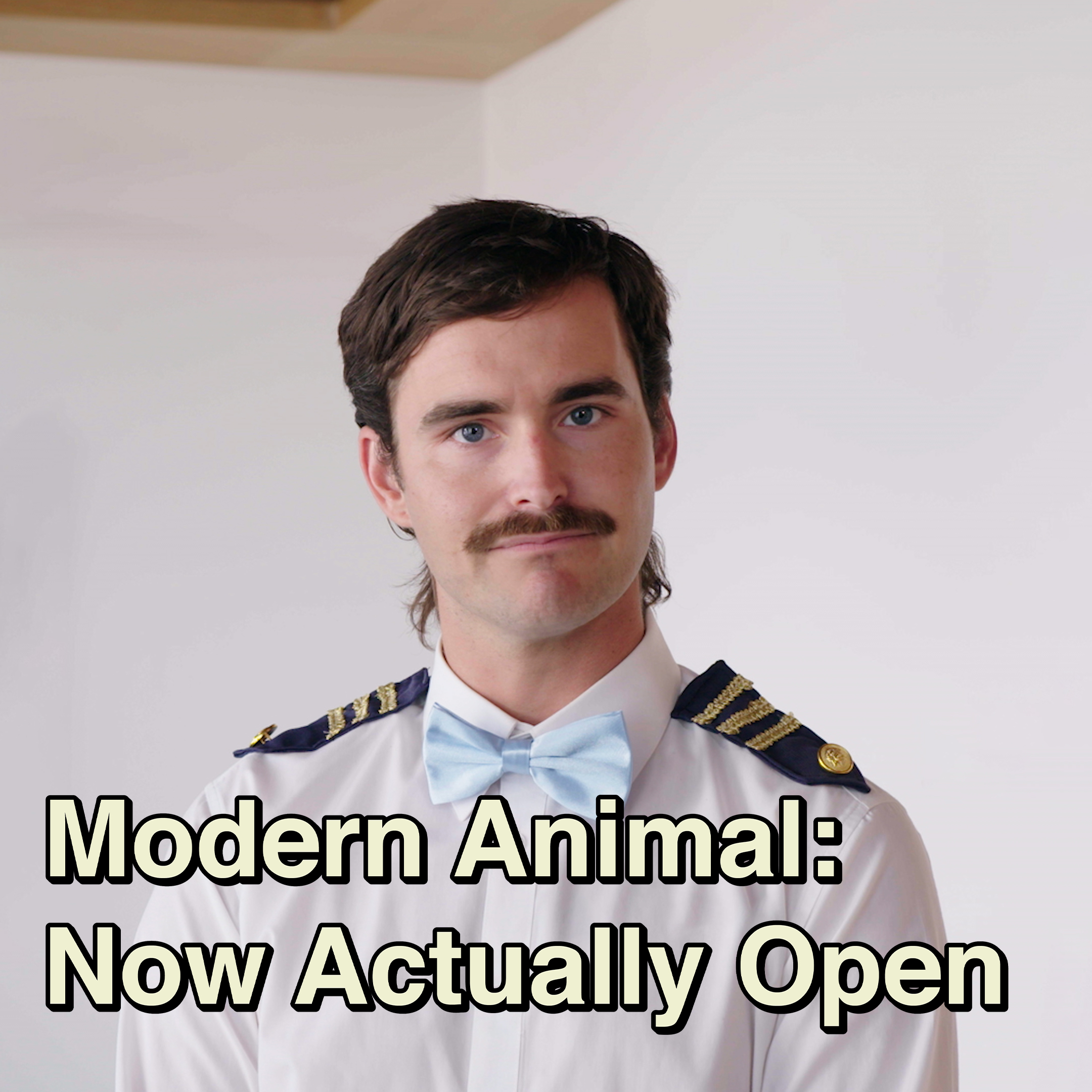 A Smarter, Warmer, Better Vet for All | Modern Animal