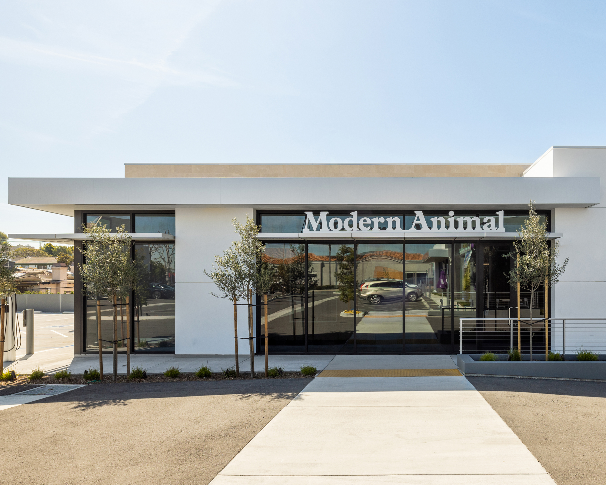 A Smarter, Warmer, Better Vet for All | Modern Animal