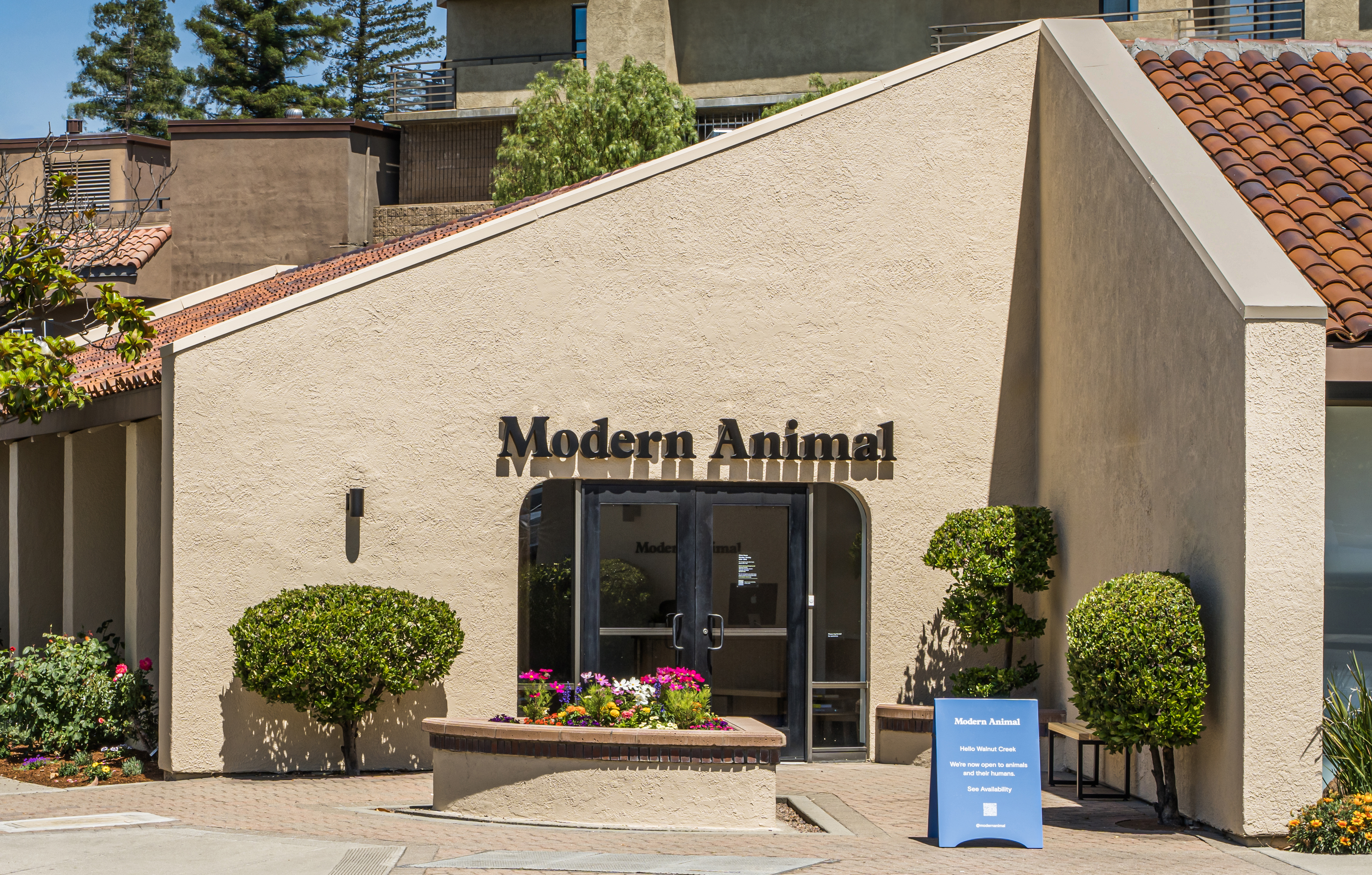 A Smarter, Warmer, Better Vet for All | Modern Animal