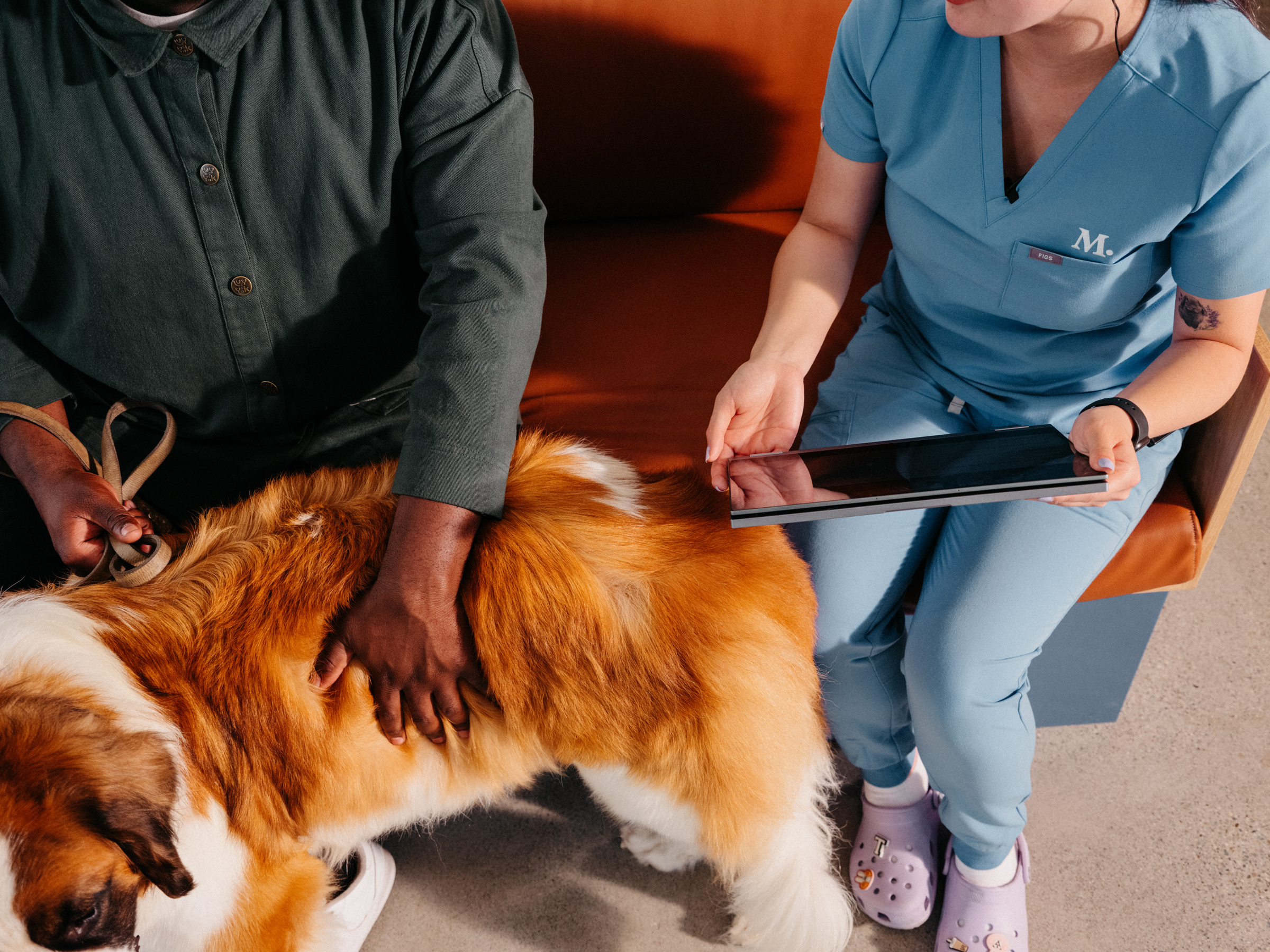 A Smarter, Warmer, Better Vet for All | Modern Animal