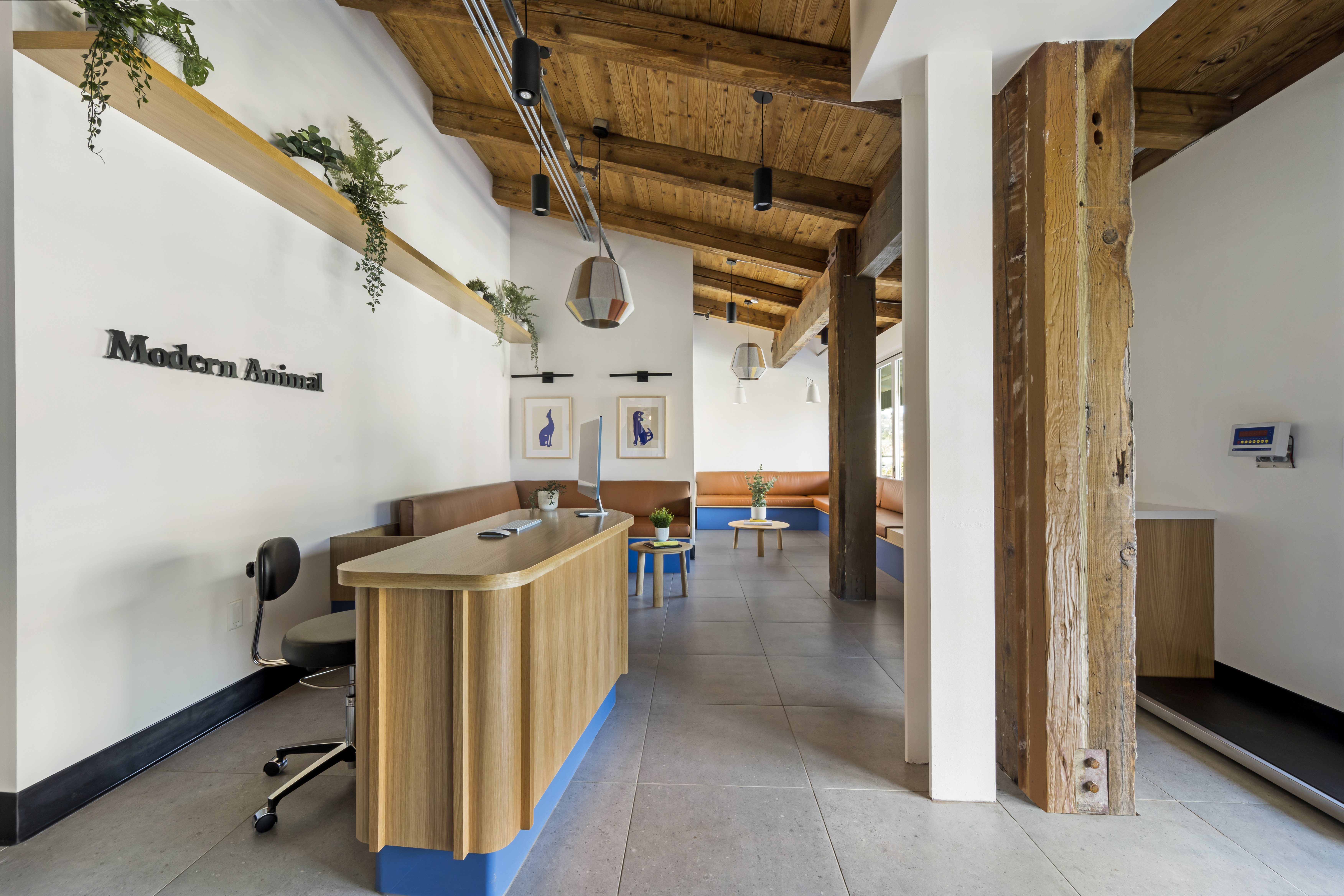 A Smarter, Warmer, Better Vet for All | Modern Animal