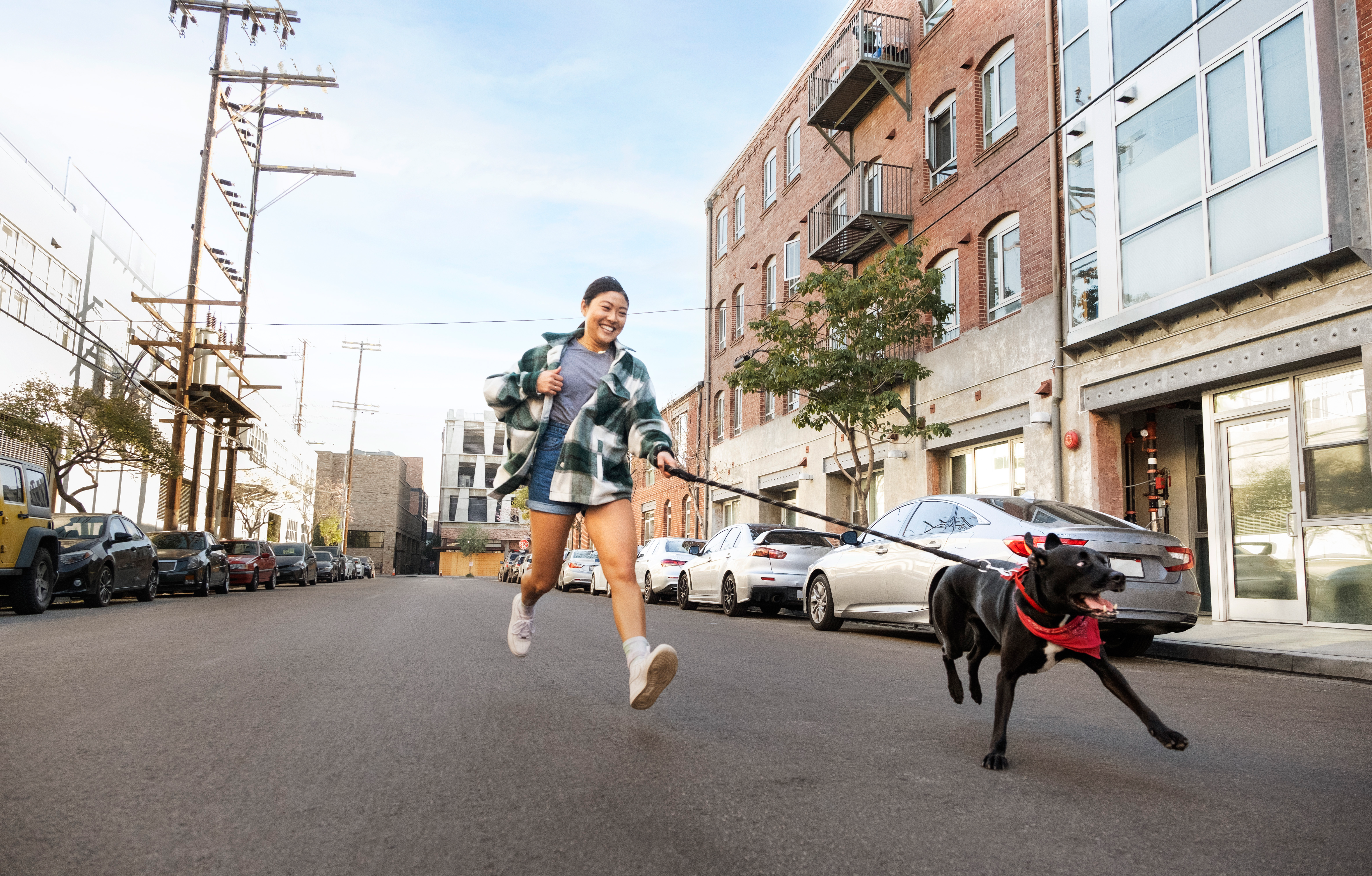 A Smarter, Warmer, Better Vet for All | Modern Animal