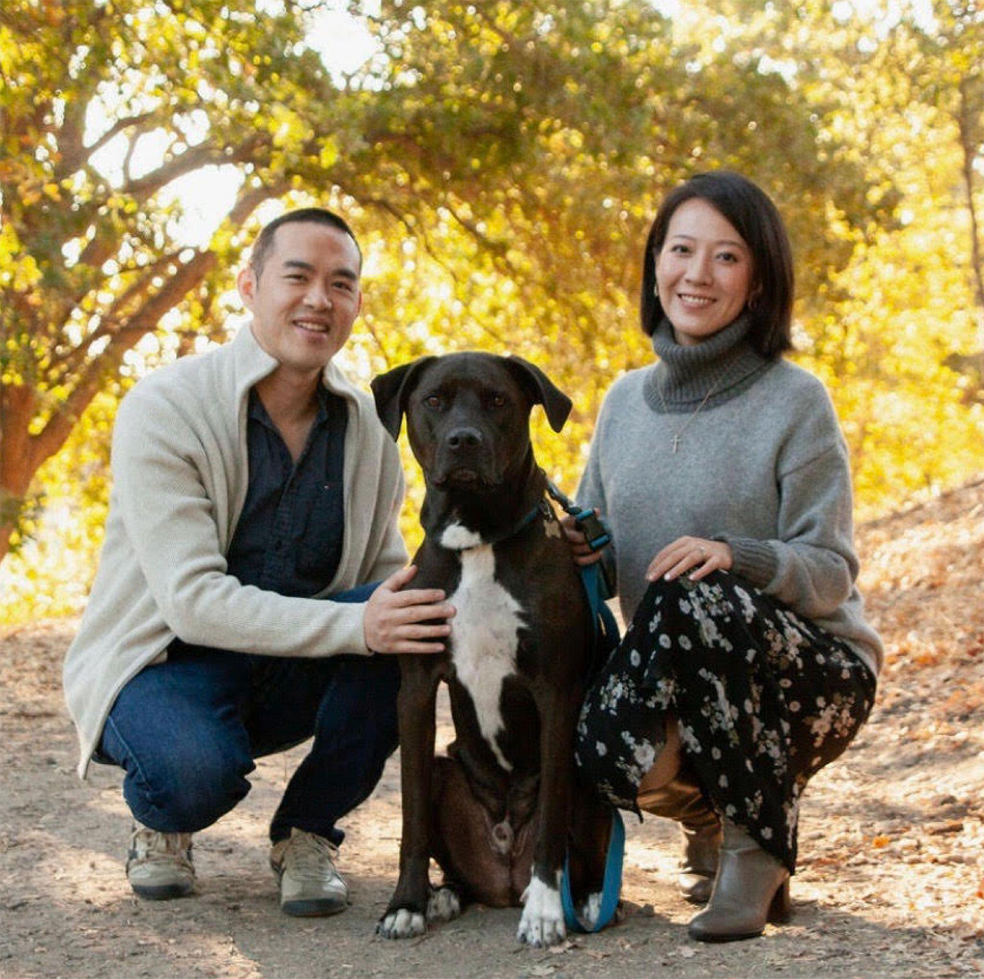 Better Veterinary Care Starts Here | Modern Animal