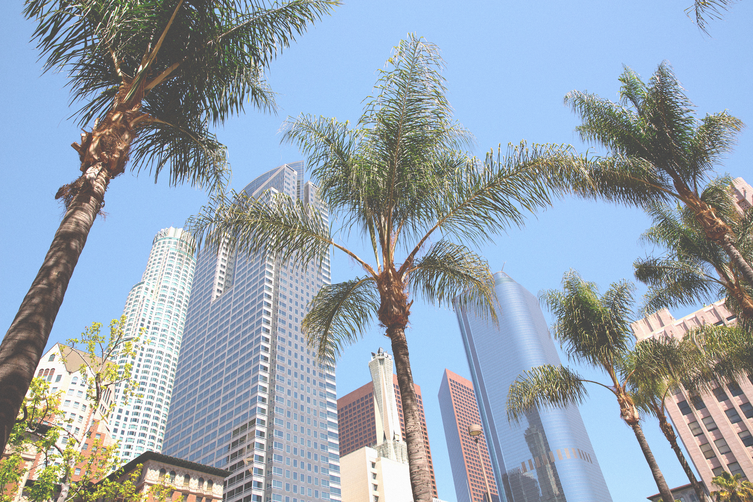 Better Veterinary Care Starts Here | Modern Animal