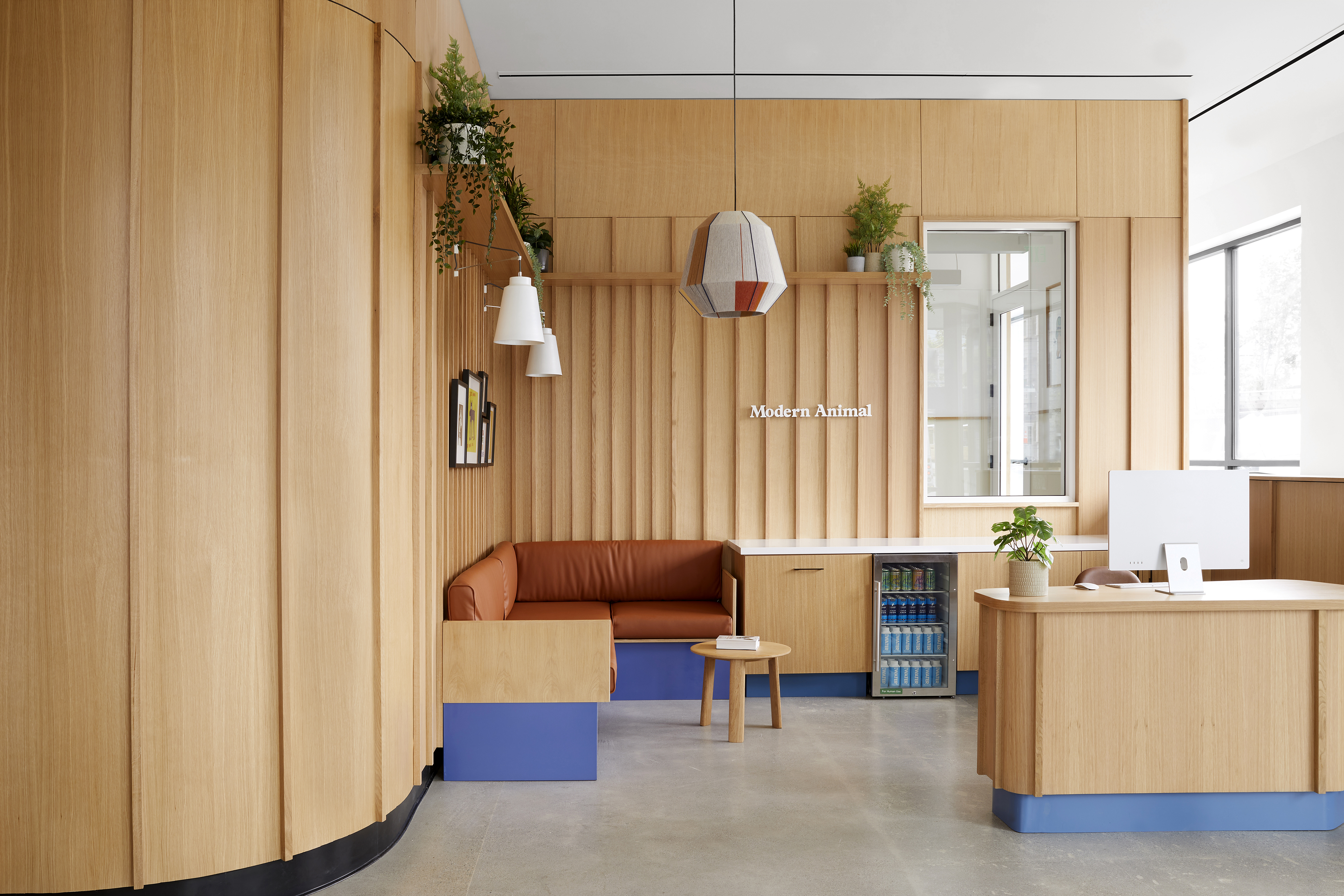 A Smarter, Warmer, Better Vet for All | Modern Animal