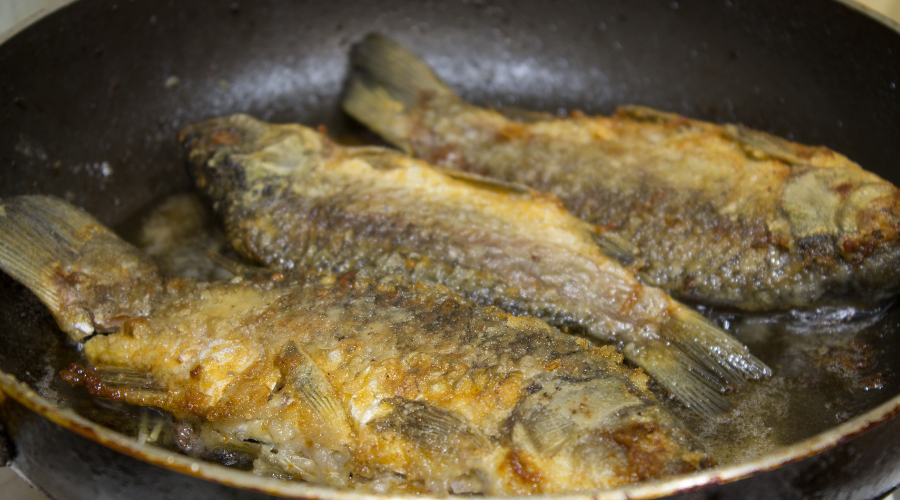 Co zrobić, aby świeżo złowiona ryba była pyszna? Zdradzamy ulubiony ...