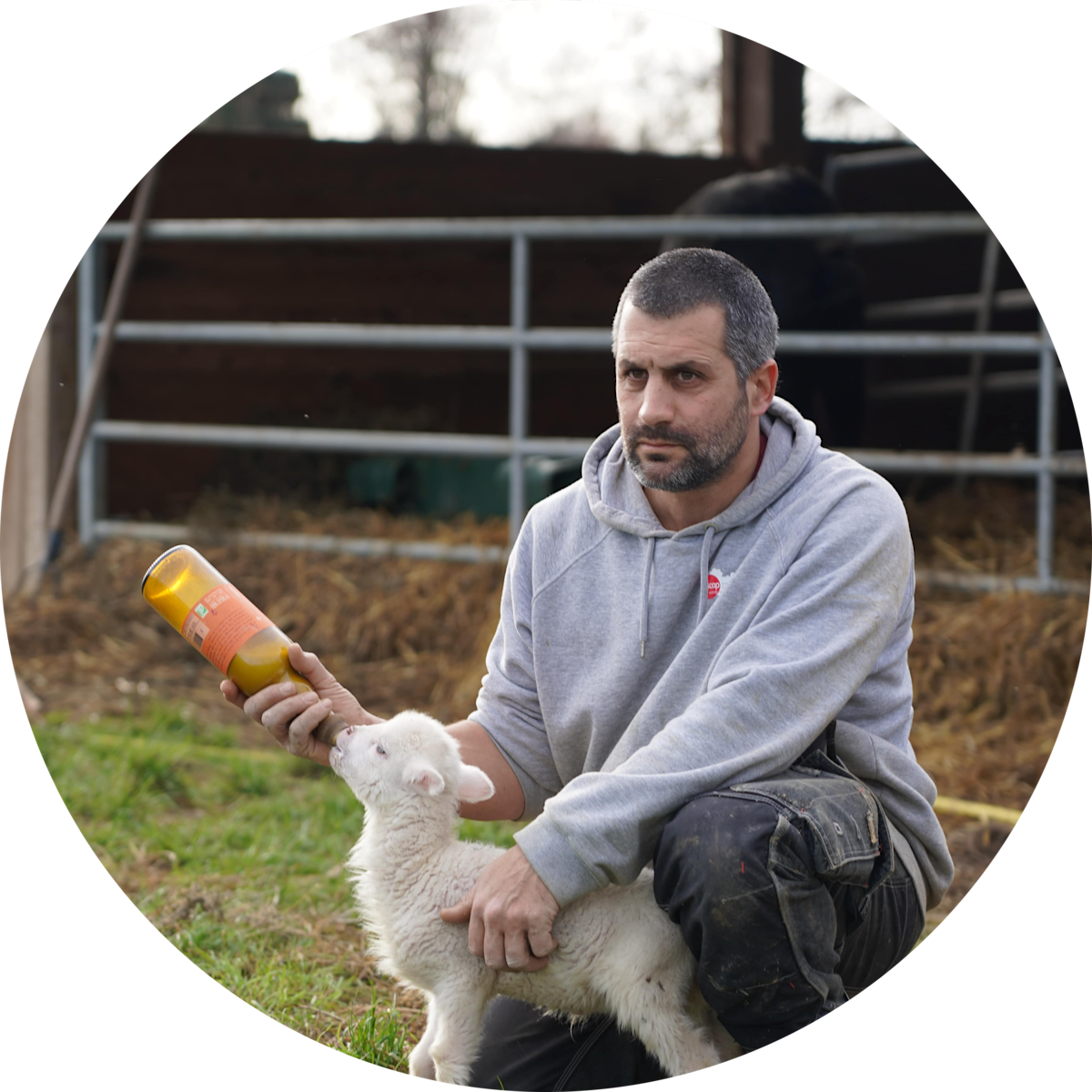 Porträt von Rémy Léger - Tagesspiegel Background