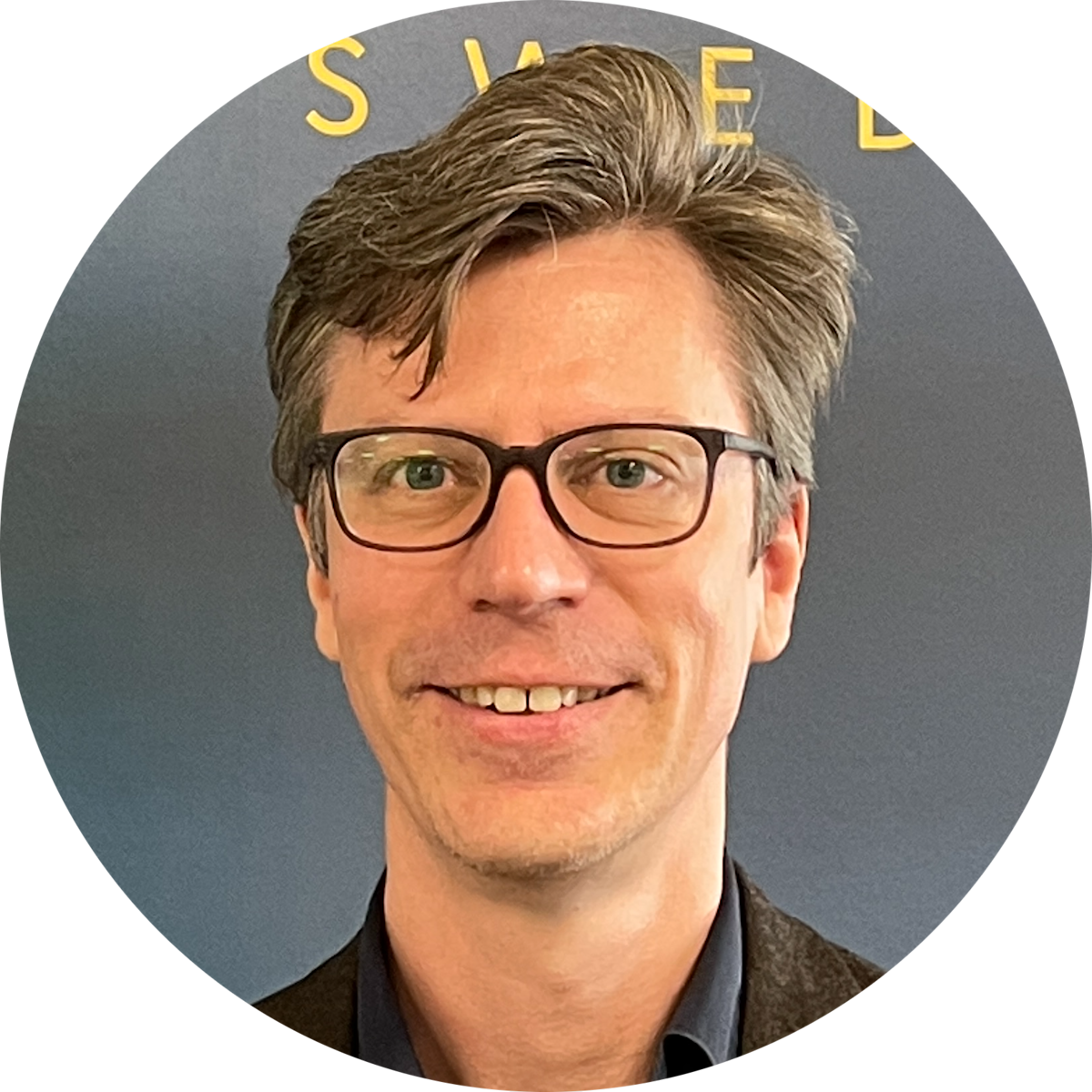 Porträt von Daniel Gillblad - Tagesspiegel Background