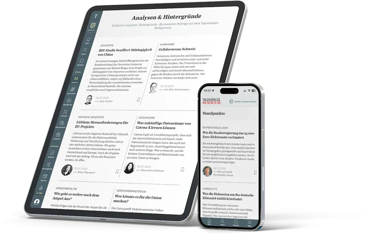 Tagesspiegel Background: Ihr politischer Wissensvorsprung