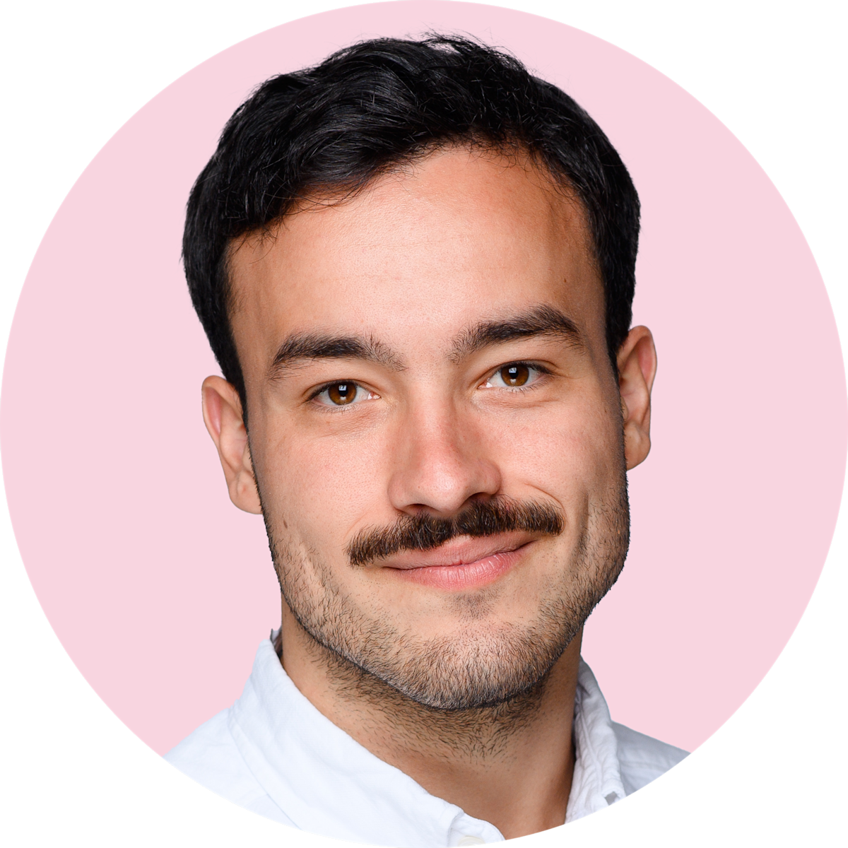 Porträt von Ludwig Thiede - Tagesspiegel Background