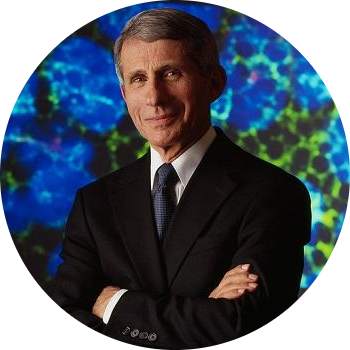 Porträt von Anthony Fauci - Tagesspiegel Background