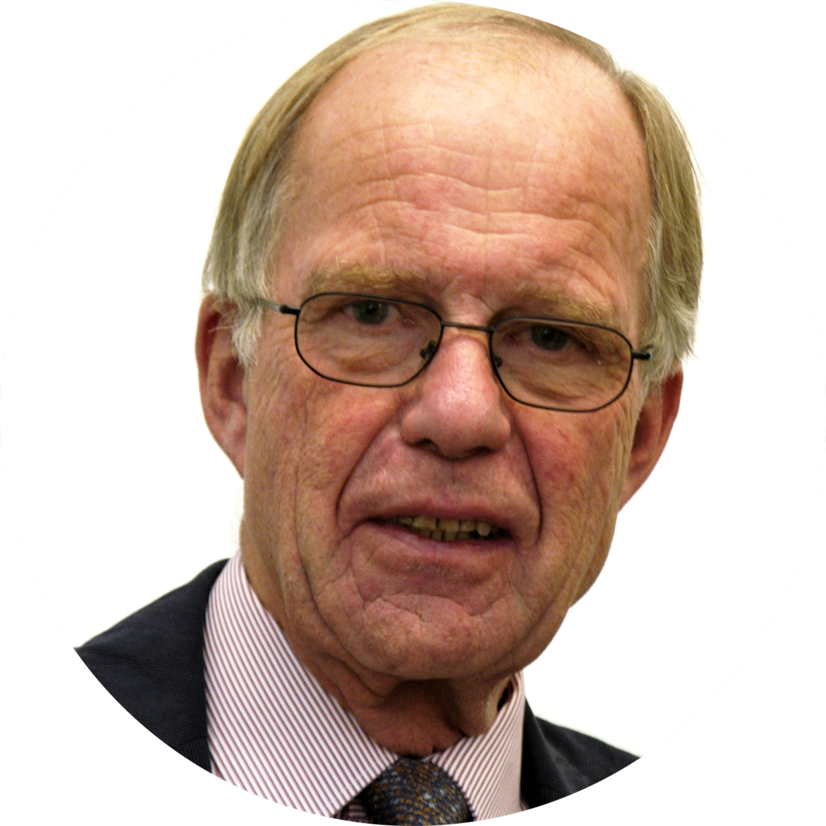 Porträt von Otto Busse - Tagesspiegel Background