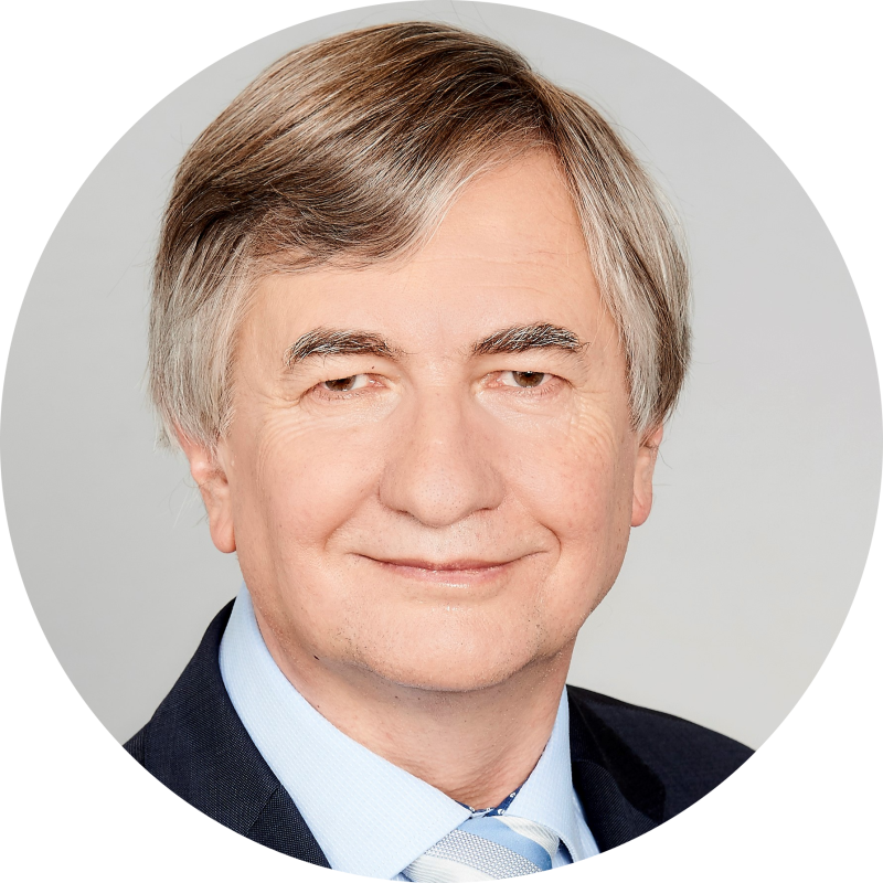 Porträt von Josef Smolle - Tagesspiegel Background