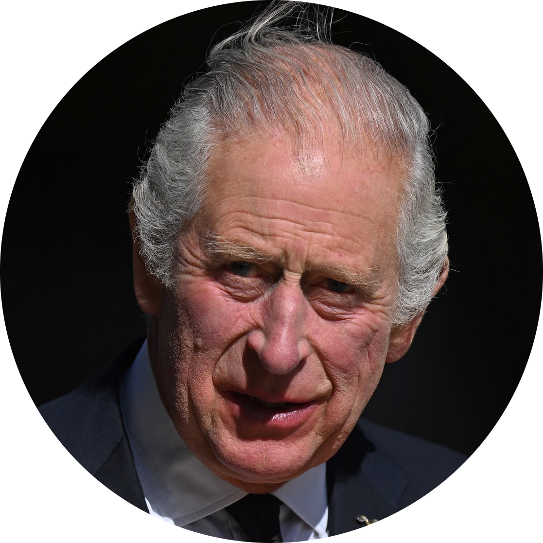 Porträt von Charles III. - Tagesspiegel Background