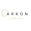 Arkon Energy - CertiK Skynet Project Insight