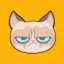 Ponzio The Cat - CertiK Skynet Project Insight
