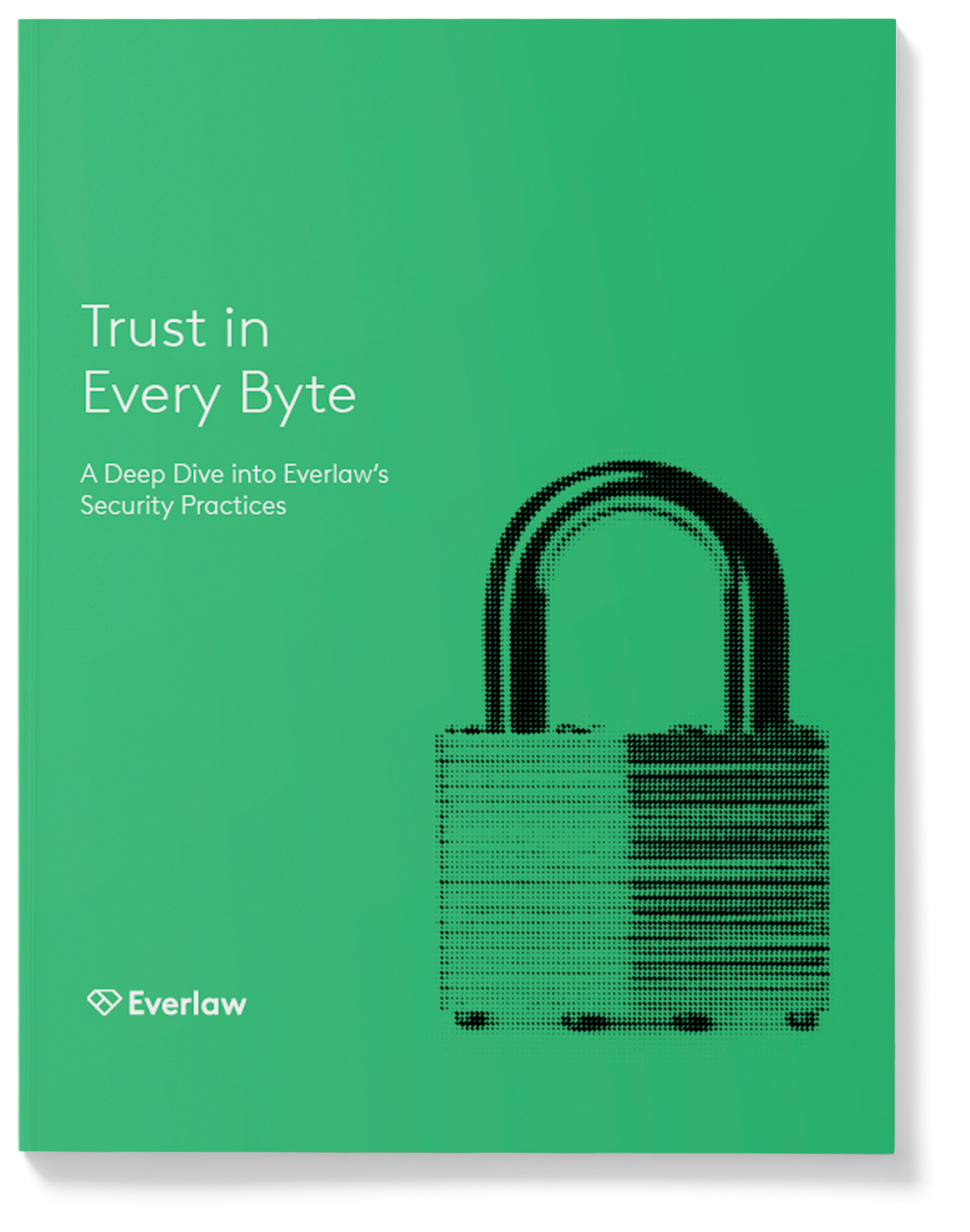 Trust in Every Byte: A Deep Dive into Everlaw's Security Practices