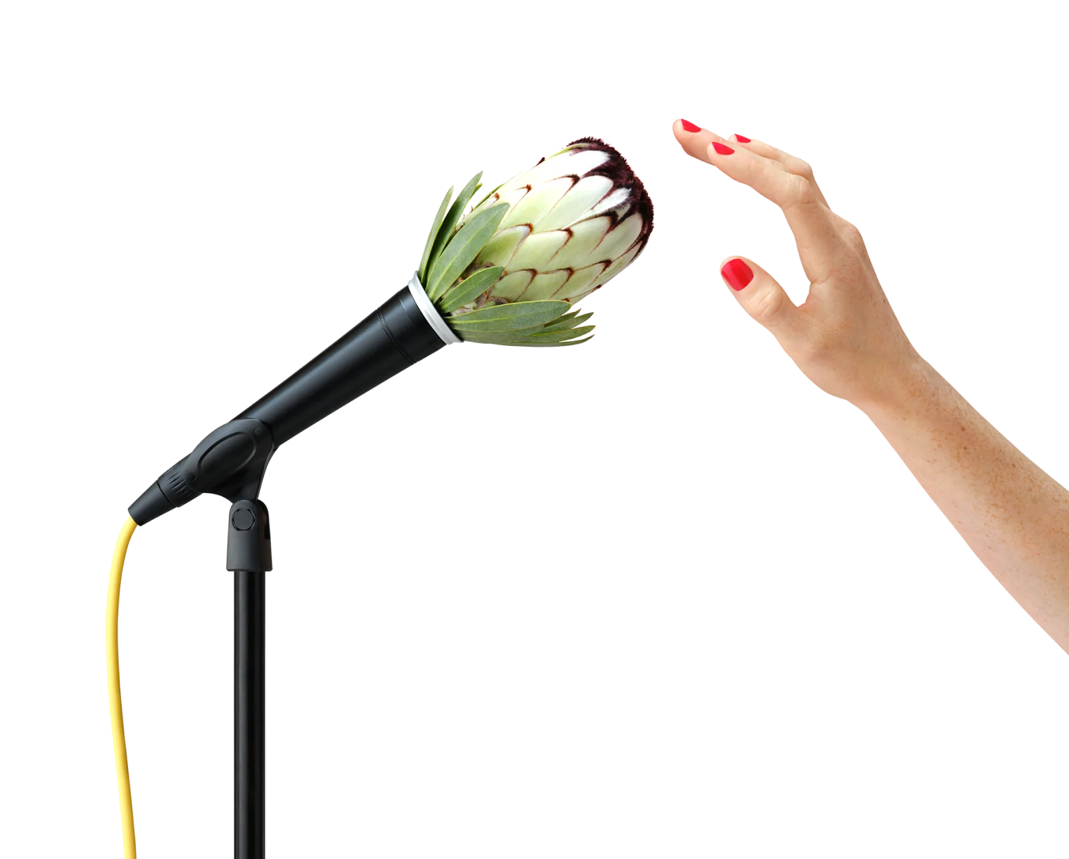 Royalty-free music for Businesses and Enterprises | Epidemic Sound