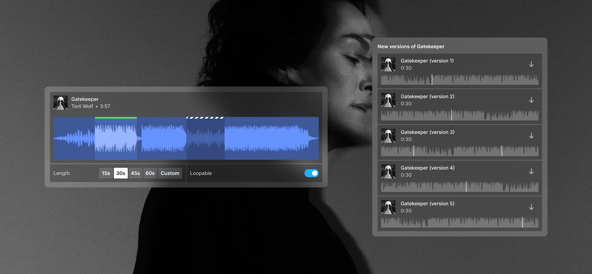 Plugin for DaVinci Resolve Studio | Epidemic Sound