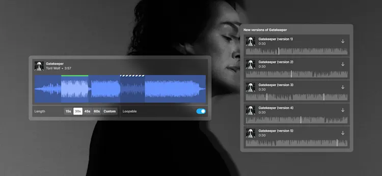 Plugin for DaVinci Resolve Studio | Epidemic Sound