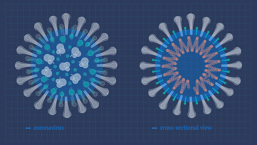 What you should know about COVID-19 « Ada Editorial