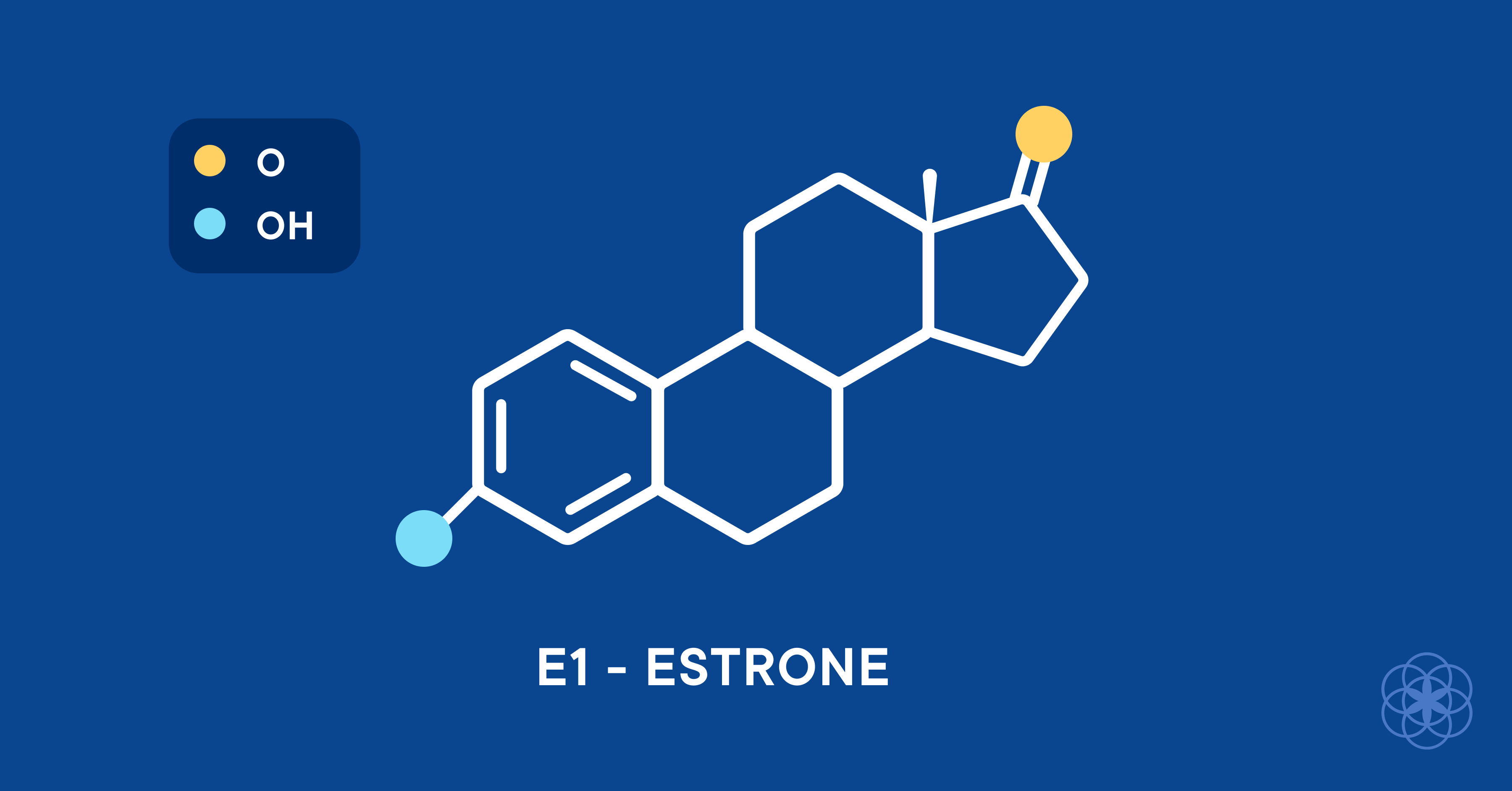 Understanding Estrogen Levels During Your Menstrual Cycle