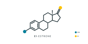 Synthetic Estrogen 101