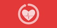 Resting Heart Rate During The Menstrual Cycle Low Resting Heart Rate